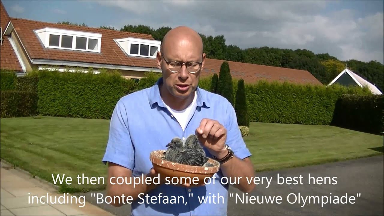 Youngsters Nieuwe Olympiade x Bonte Stefaan for sale in Christmas ...