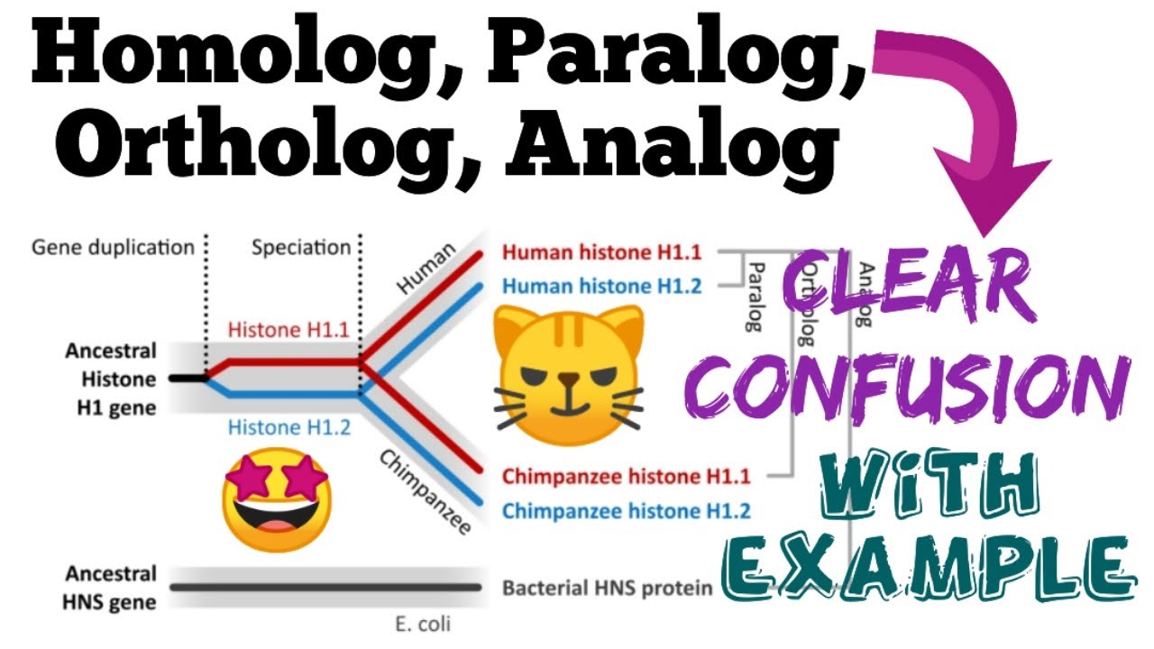 Homologs, Paralogs, Ortholog, Analogs🤔🧐 || Defination with example 🤩# ...