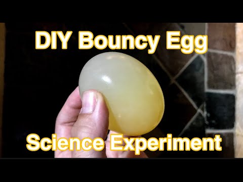DIY Bouncy Egg Science Experiment... So Easy!!! - YouTube