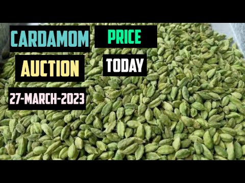 Cardamom Elaichi Auction Live Price Today 27 March 2023 - YouTube