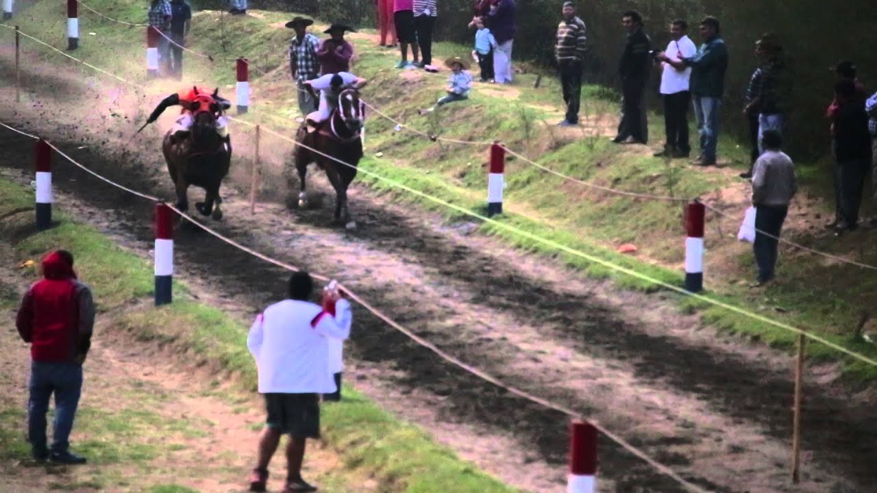 Caballos Carreras Ala Chilena