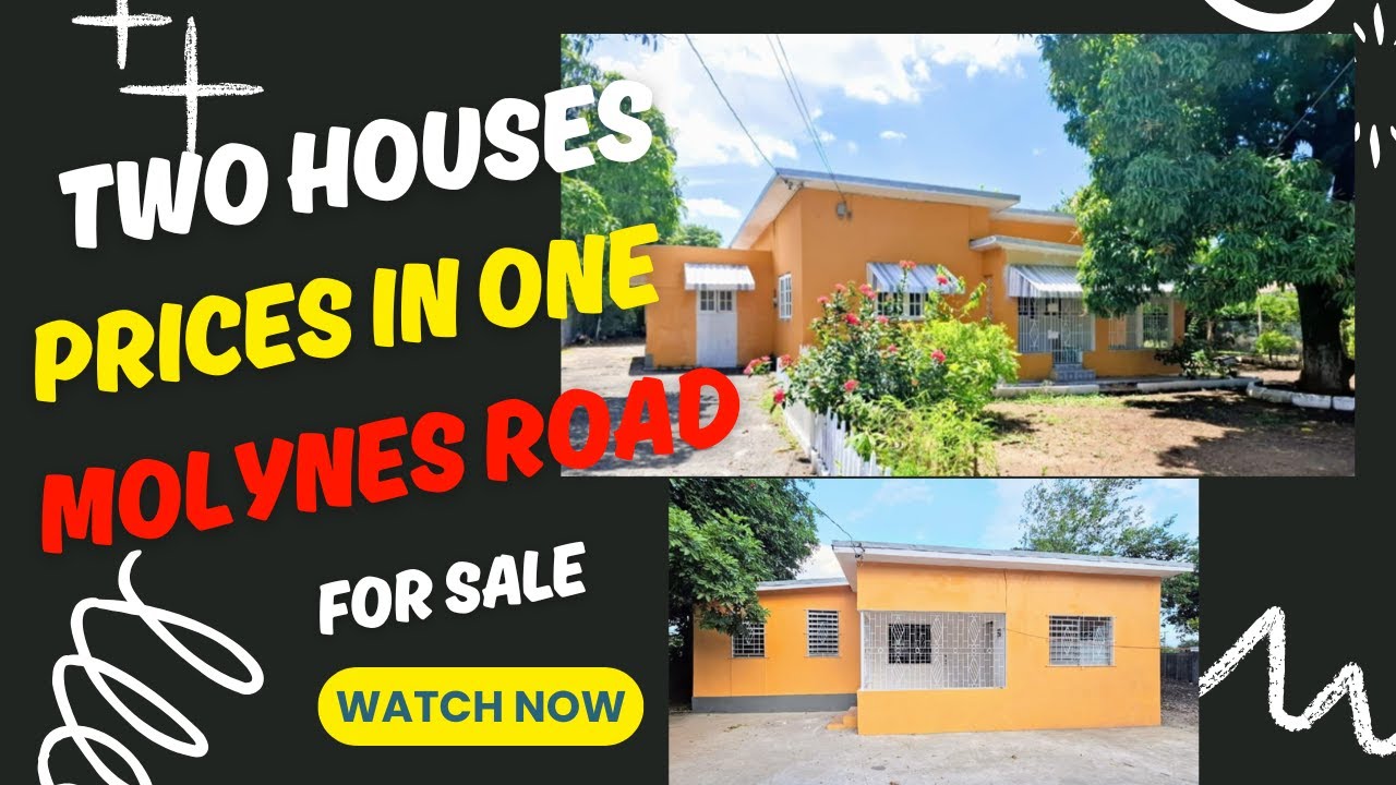 Two In One Houses for Sale Molynes Road Kingston - YouTube