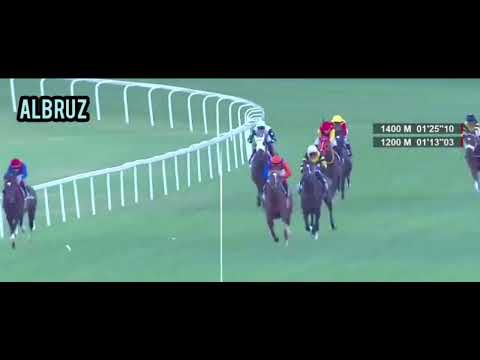 İSMET İNÖNÜ KOŞUSU   29/05/2026  İSTANBUL 