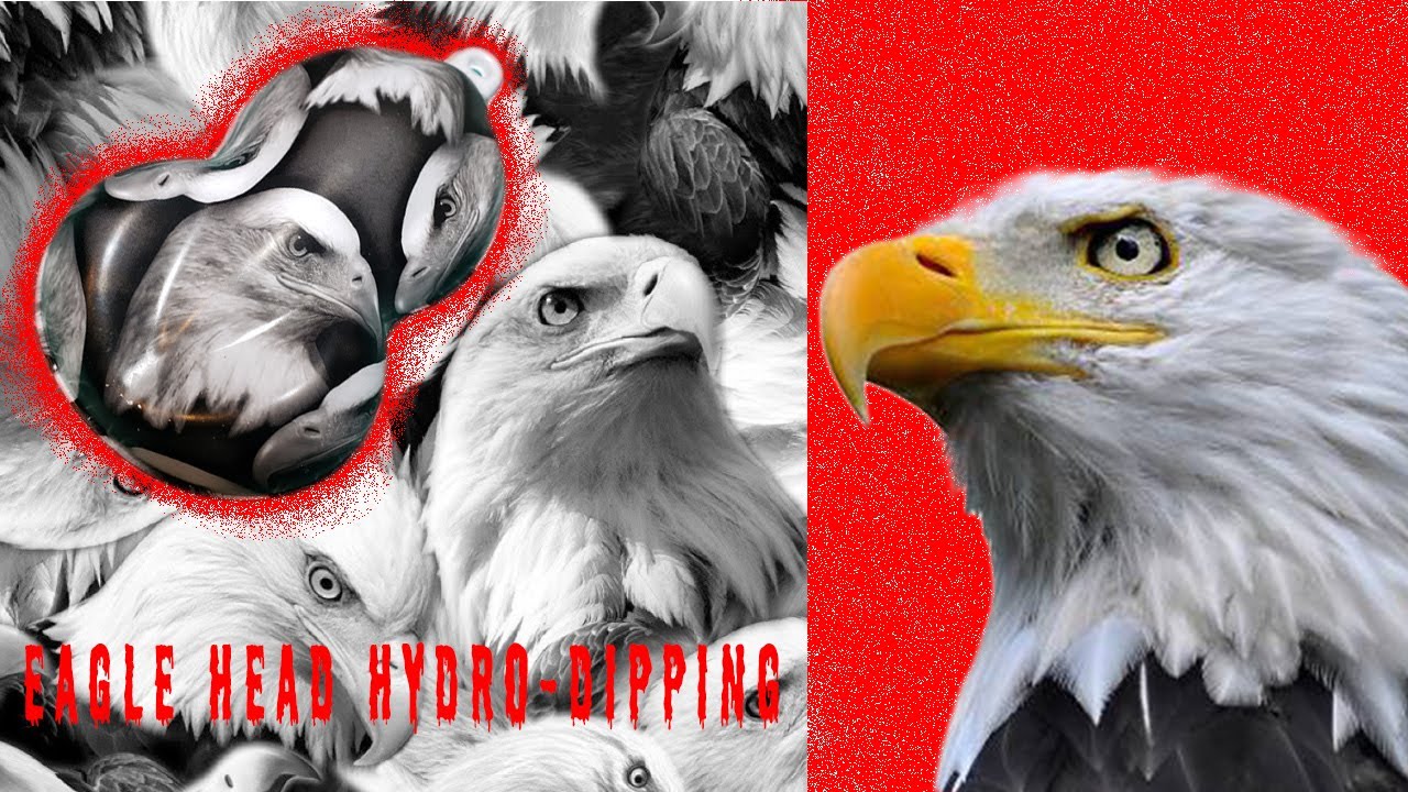 Amazing Eagle Head Hydro Dipping | 2021 - YouTube
