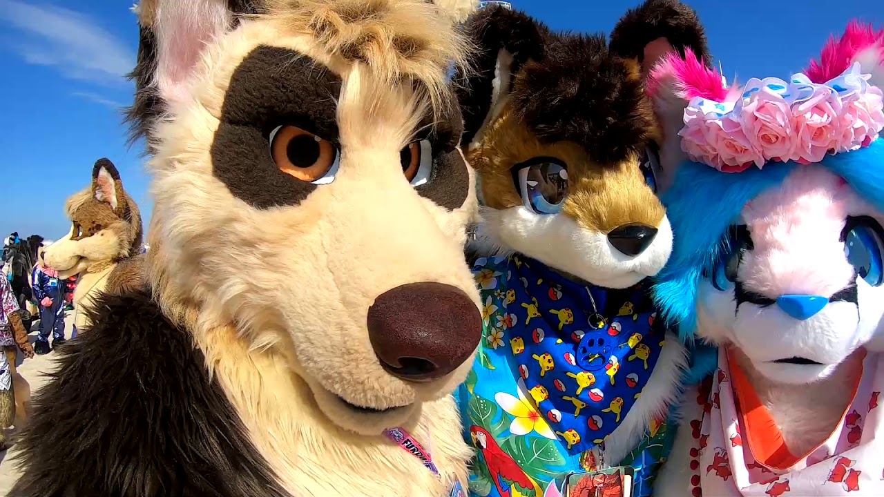 Furdu 2019 Back to the beach walk - YouTube