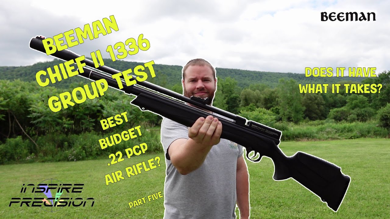 Part Five: Sub $300 Shootout...Budget .22 PCP Air Rifle Battle...Beeman ...