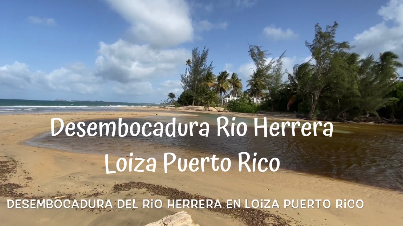 Visita a la Desembocadura Rio Herrera Loiza Puerto Rico - YouTube
