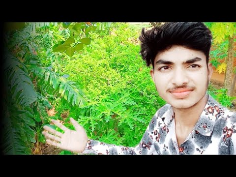 subah ka bahut hi pyara mosam😍 || vikas raikwar vlog - YouTube