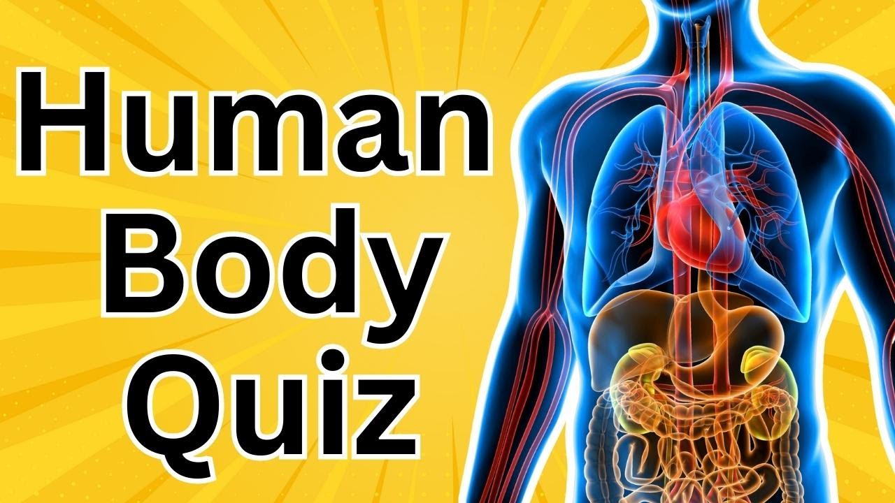 Can you score 45/45 on this HUMAN BODY GENERAL KNOWLEDGE QUIZ? # ...