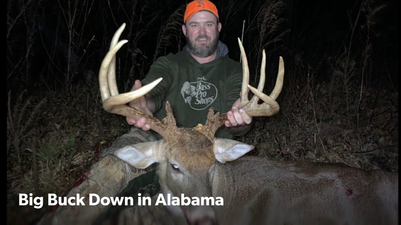 Big Buck Down In Alabama | The Best Deer I Have Ever Shot | Alabama Rut ...