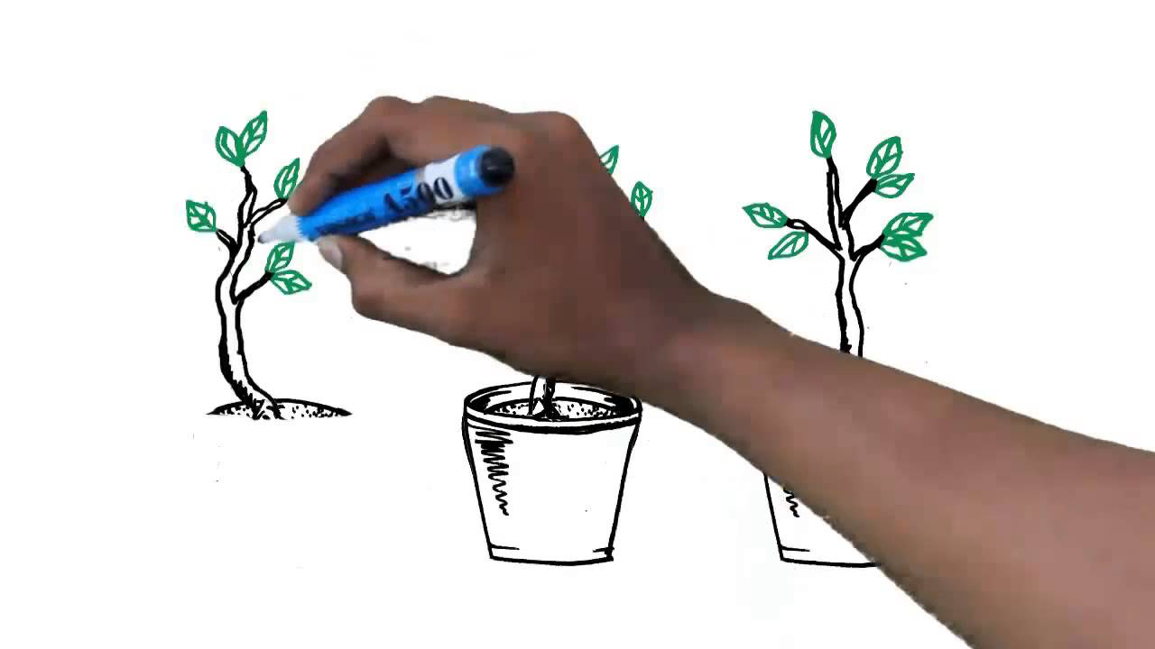 Are You Saving For Your Future Tamil YouTube are-you-saving-for-your-future-tamil-youtube