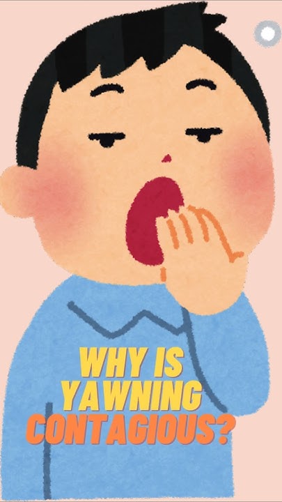 Why Is Yawning Contagious?#shorts #Yawning #FunScience #HumanBehavior ...