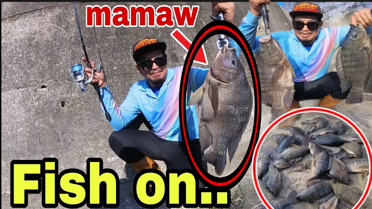 Jackpot sa mga mamaw.Hook fishing with no bait.Di na kailangan ng ...