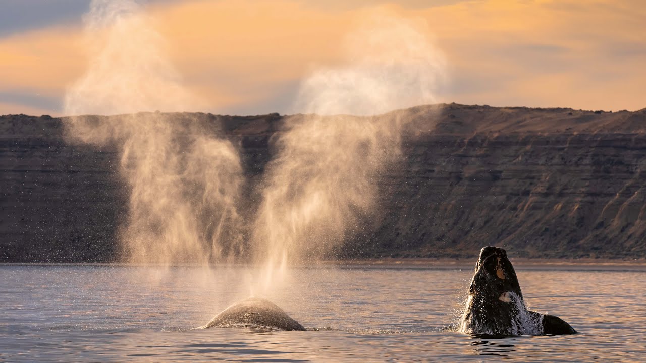 15 Minutes of Relaxing Footage from Planet Earth III | Planet Earth III ...