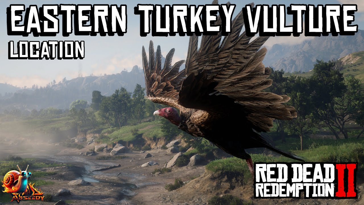 Eastern Turkey Vulture Location - Red Dead Redemption 2 - YouTube