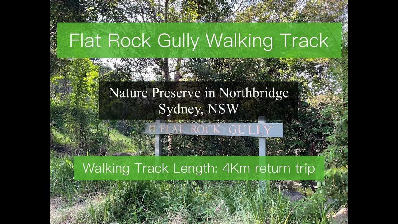 Beautiful Walking Track | Flat Rock Gully | SYDNEY - YouTube