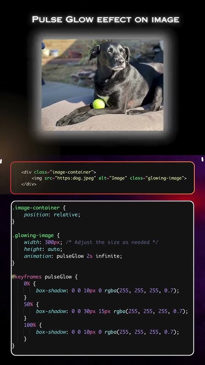 ⚡️ Pulse Glow Effect On Image ⚡️shortshtml Html5 Htmlcss Css Csstricks Cssanimation Youtube 4480
