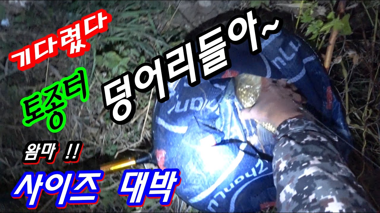 여기가 토종터 맞아 덩어리 속출 Youtube