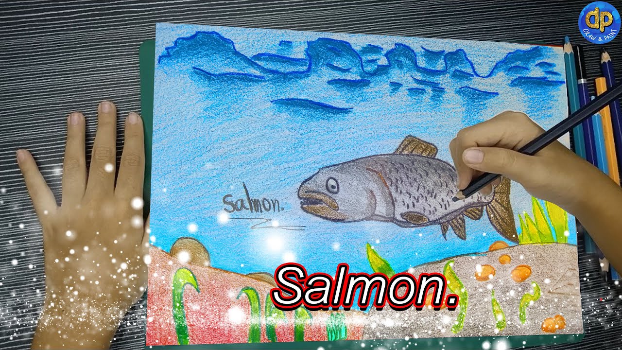 Salmon. l DP. 26(How to draw Salmon.) - YouTube