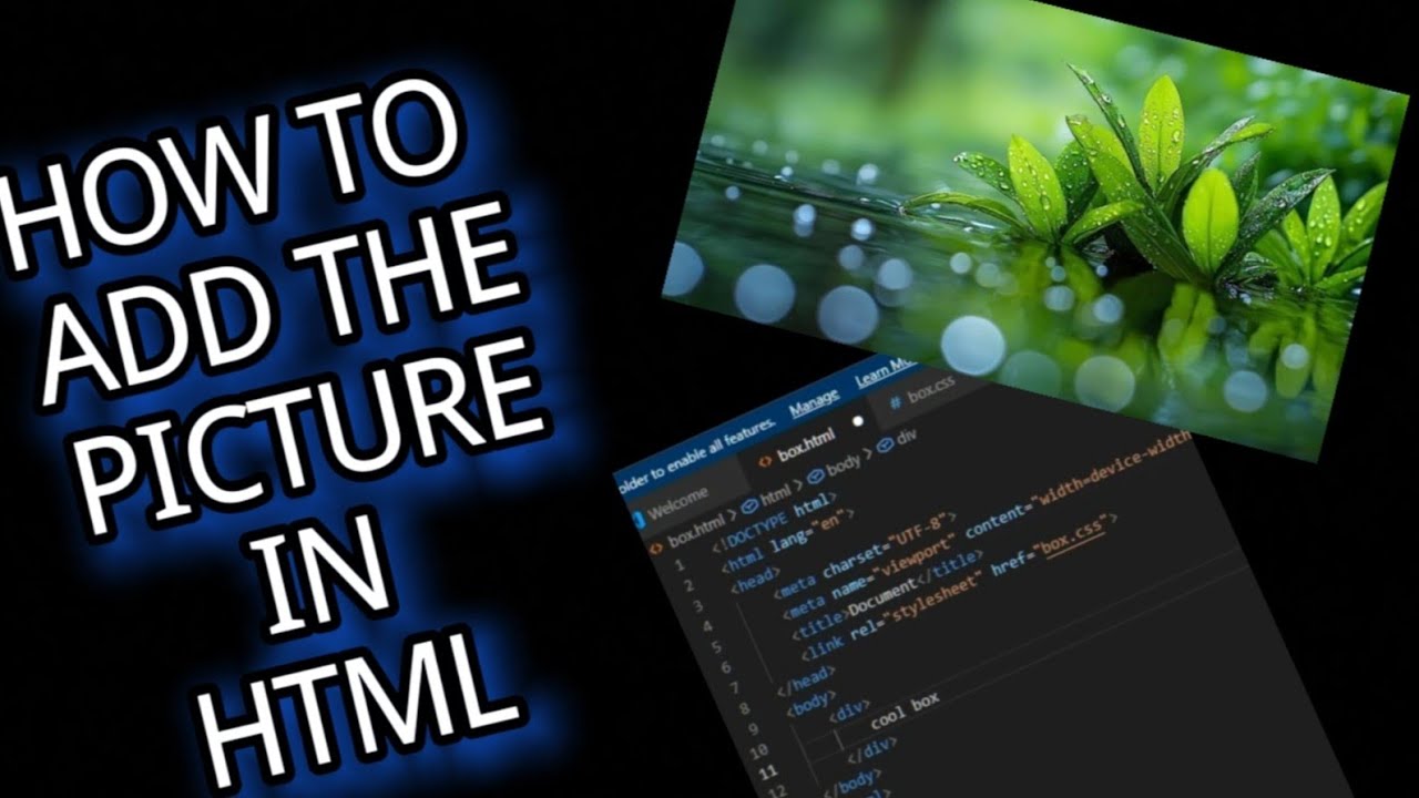 How to add Image in HTML in VsCode | how to insert an image in html ...