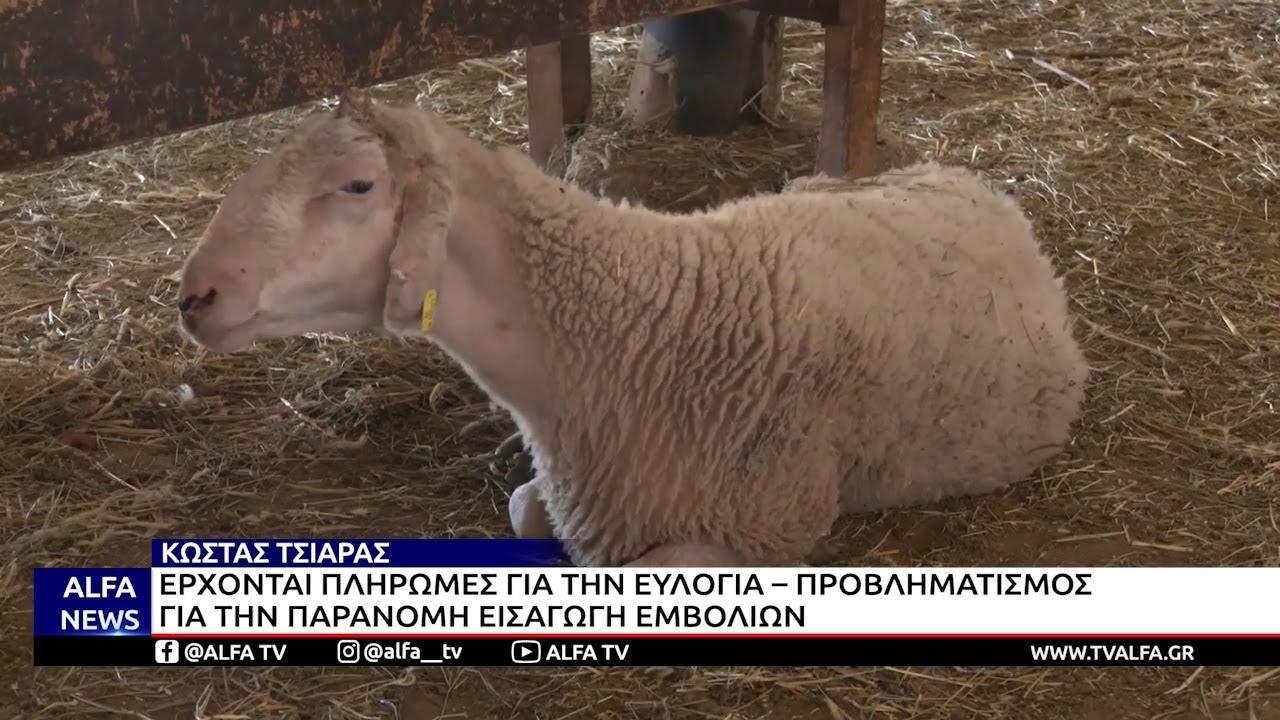 ΚΕΝΤΡΙΚΟ ΔΕΛΤΙΟ 14 10 2025 - YouTube