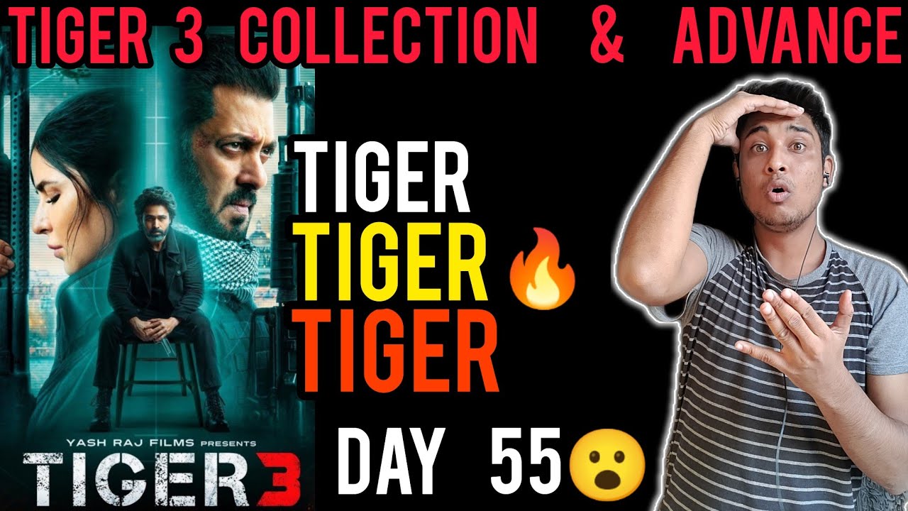 Tiger 3 Box Office Collection | Tiger 3 Advance Booking Report Day 55 ...