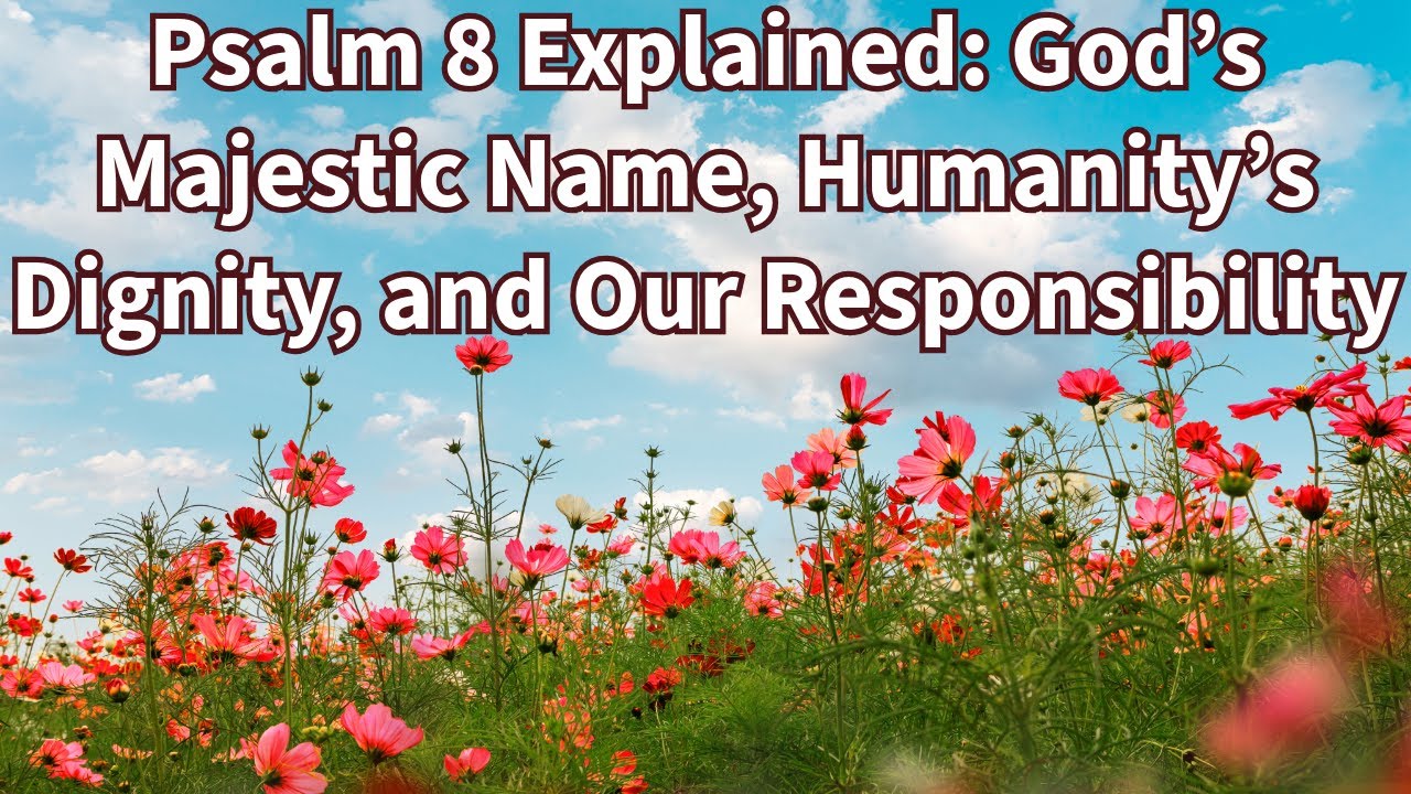 Psalm 8 Explained: God’s Majestic Name, Humanity’s Dignity, and Our ...