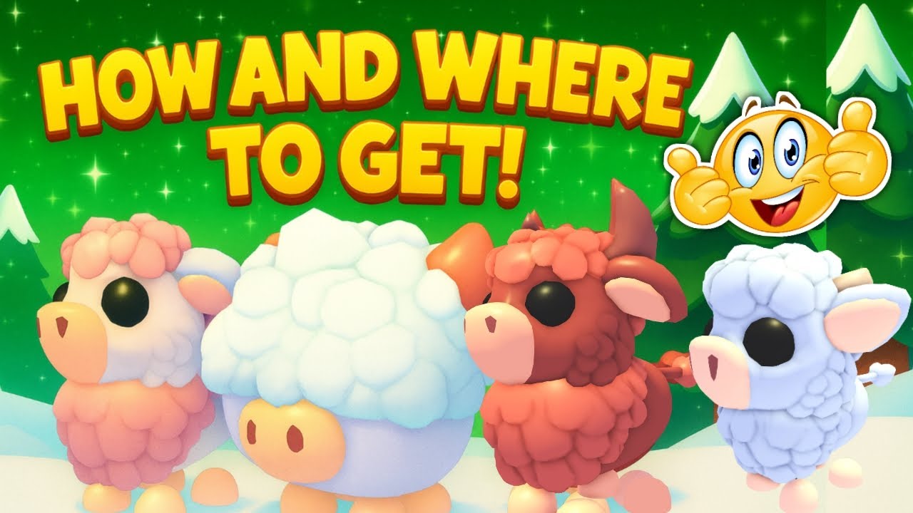 HOW TO GET ANGUS BOX AND PETS IN ADOPT ME! - YouTube