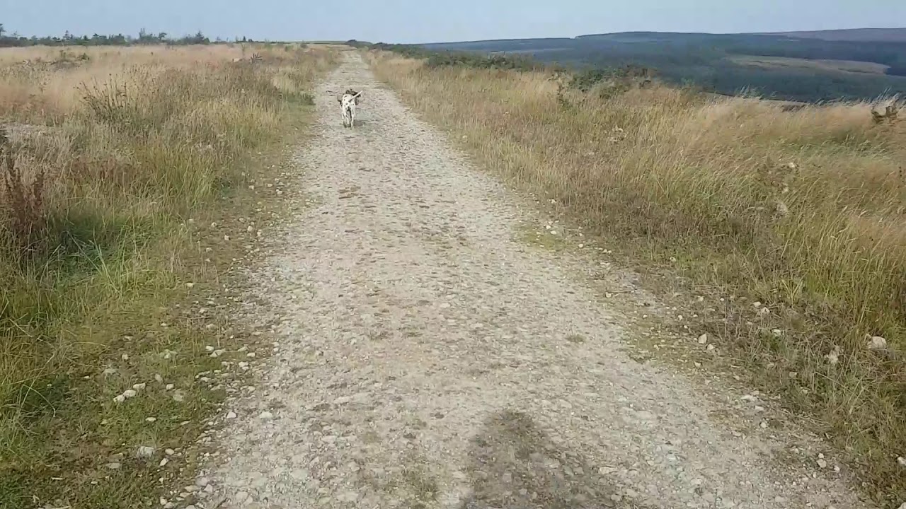 Capt Bligh on a mission - YouTube