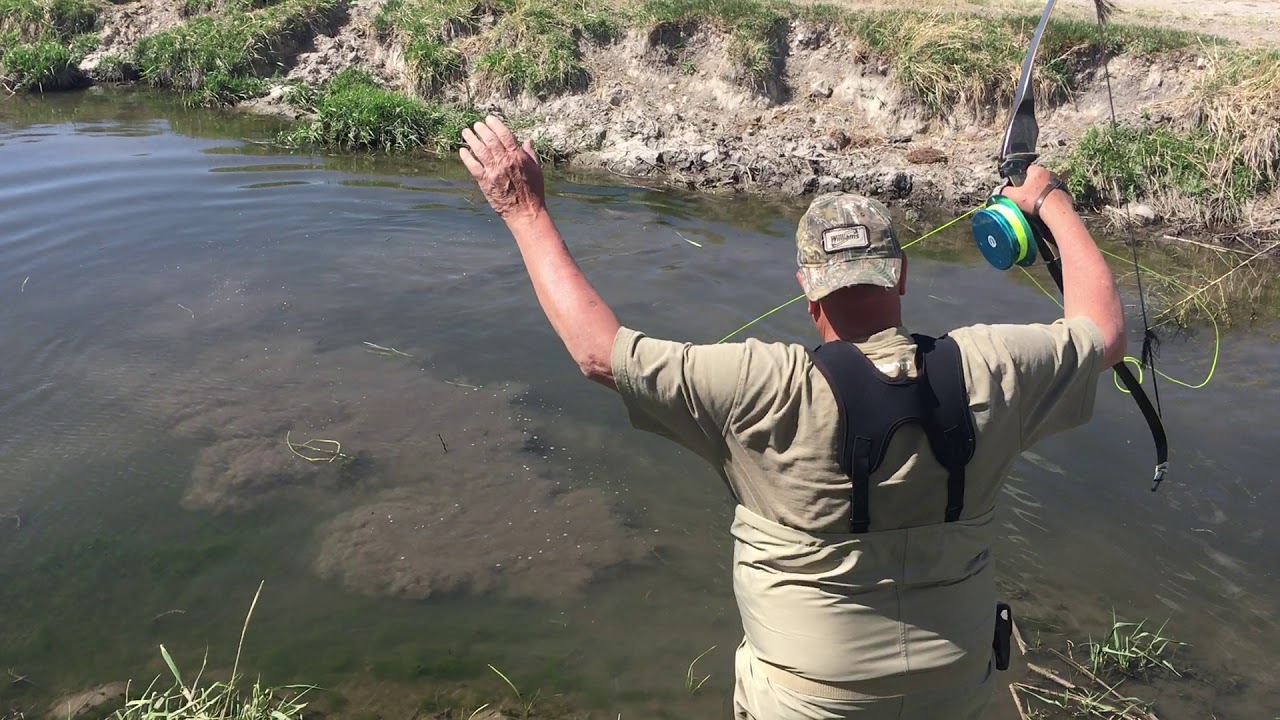 2018 Bowfishing Carp at Utah Lake - YouTube