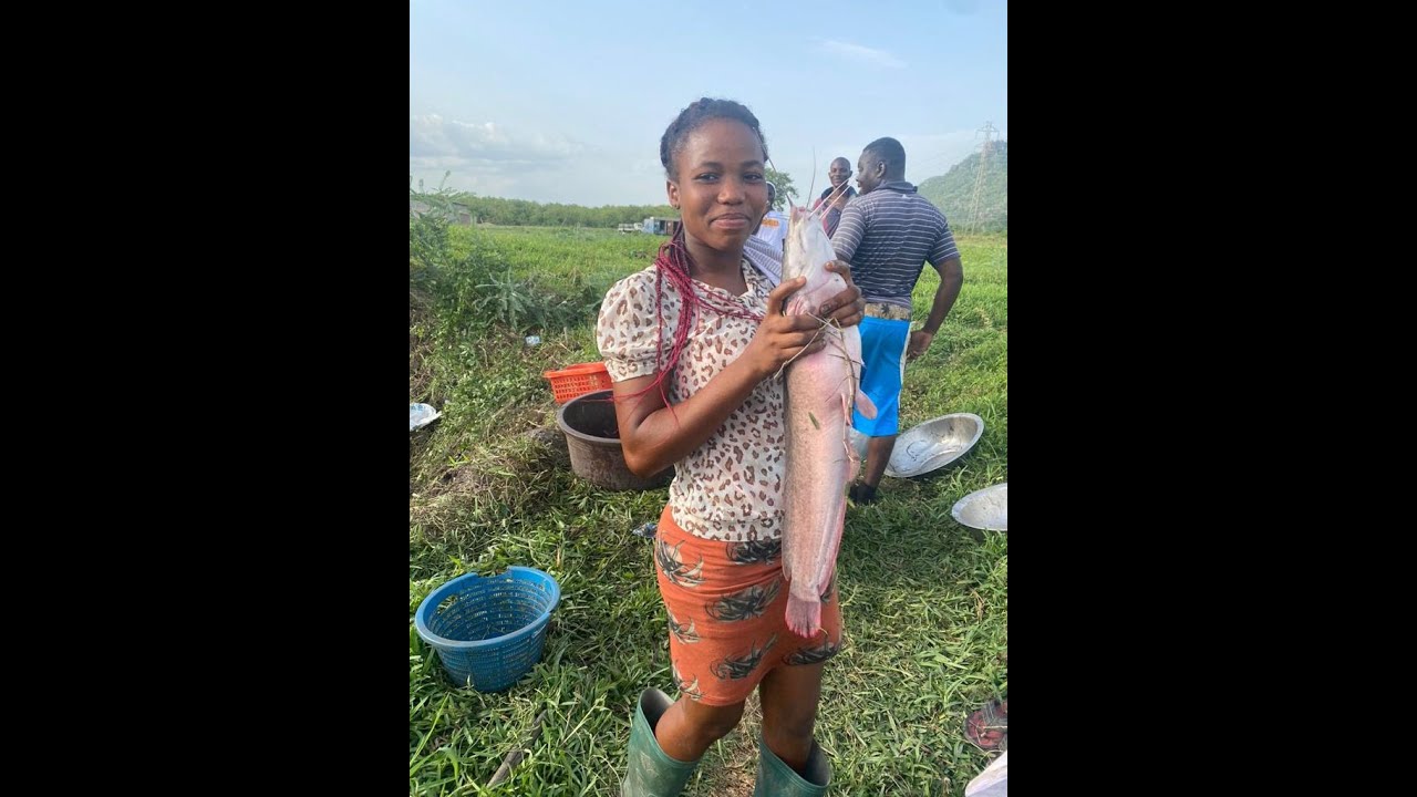 Buyer & Beneficiary - Farm 360 Catfish Project - YouTube