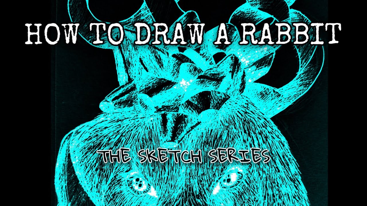 HOW TO DRAW A RABBIT: The Sketch Series | Gift - YouTube