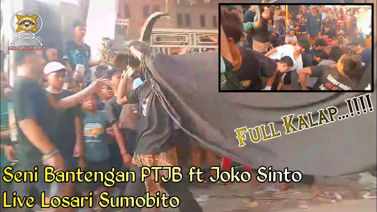 Bantengan Mberot..!!! || PTJB ft Joko Sinto LIVE Losari Sumobito - YouTube