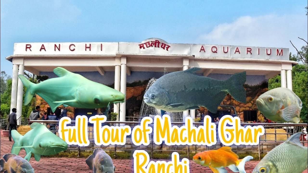 Machali 🐟 Ghar Ormanjhi || Aquarium Ormanjhi Ranchi Jharkhand - YouTube