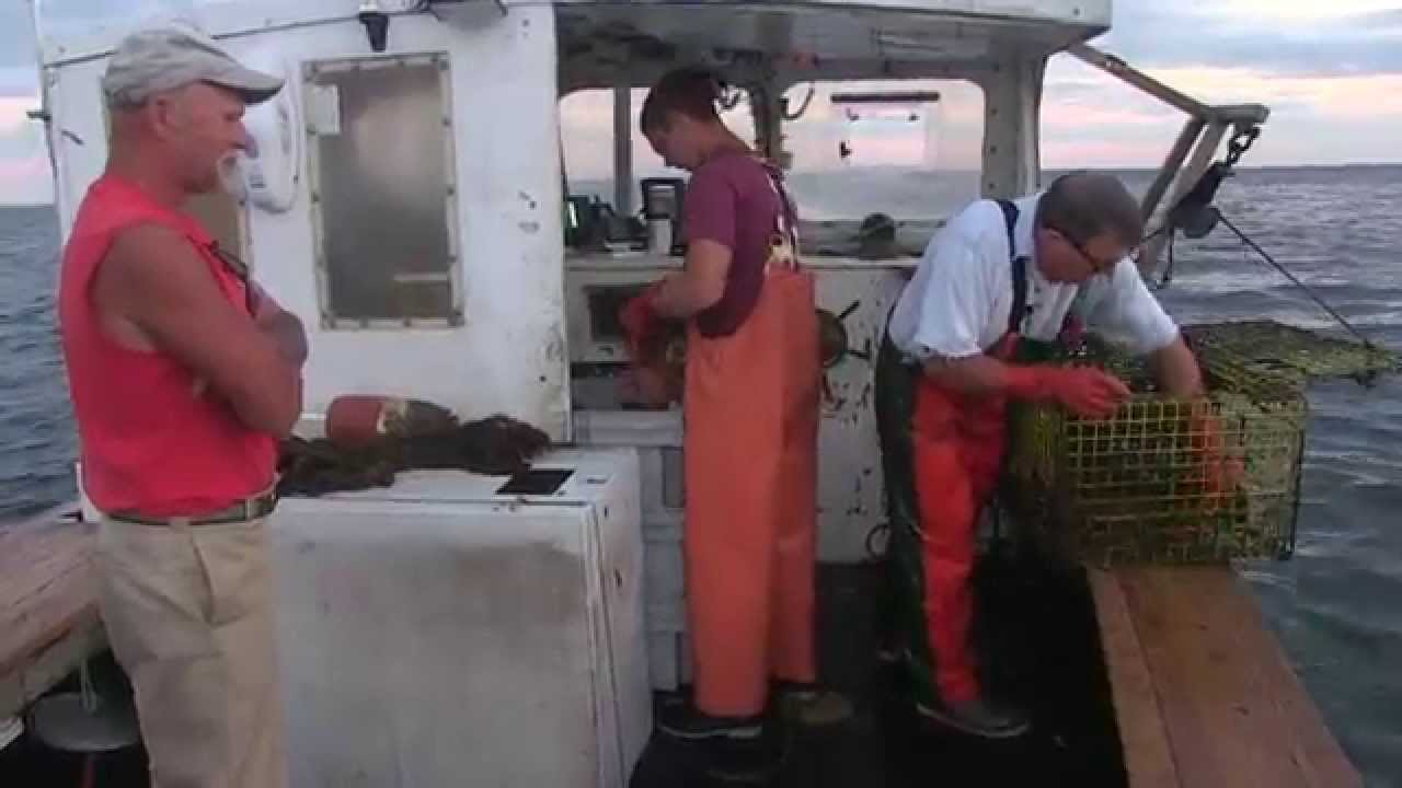 On the Waterfront: Episode 2 - YouTube