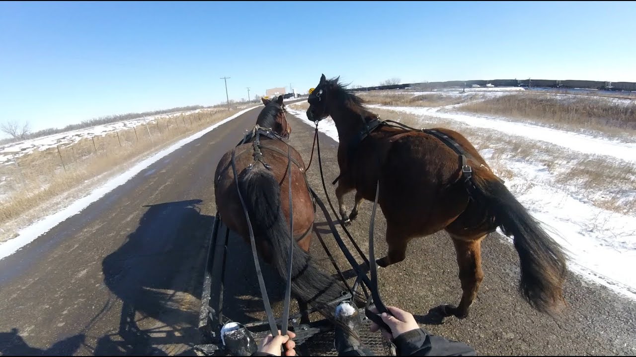 Spike’s Introduction To Driving - YouTube