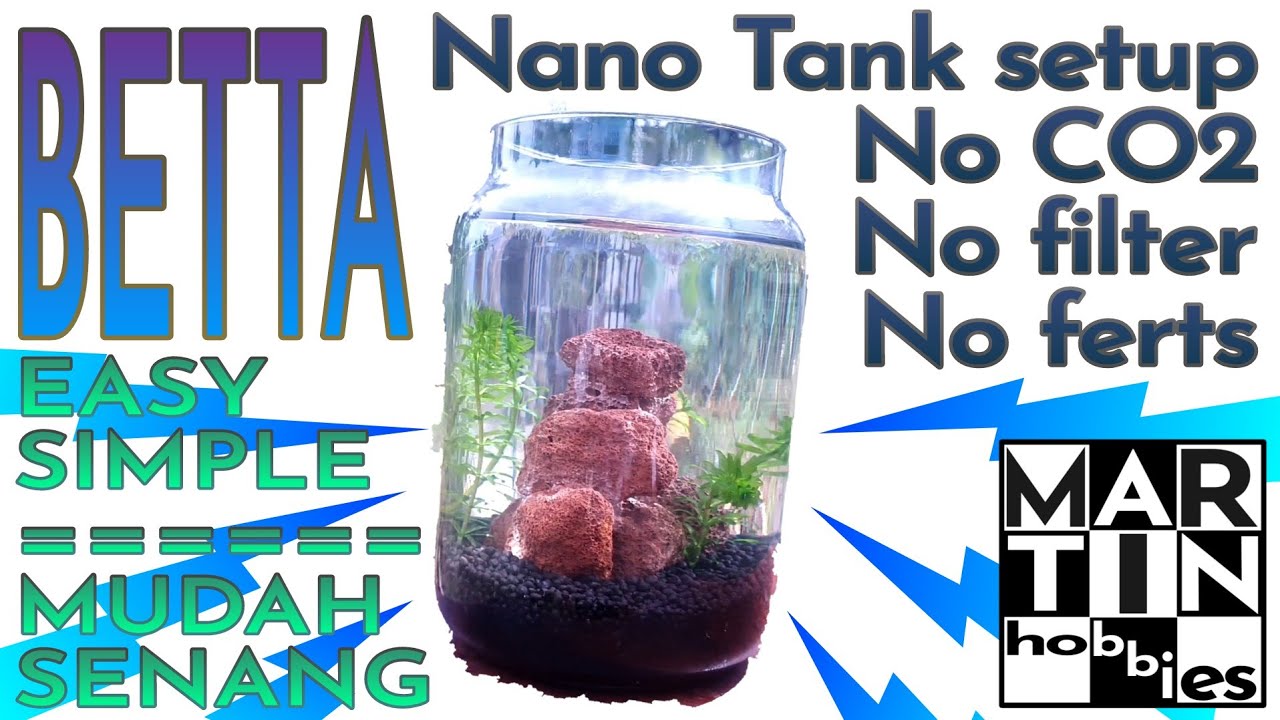 SIMPLE Nano Tank Glass Jar - No CO2, No filter, No ferts - YouTube