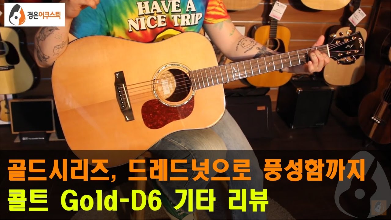 [콜트기타] 콜트 Gold-D6 기타 리뷰 (Cort Gold-D6 Guitar Review) - YouTube