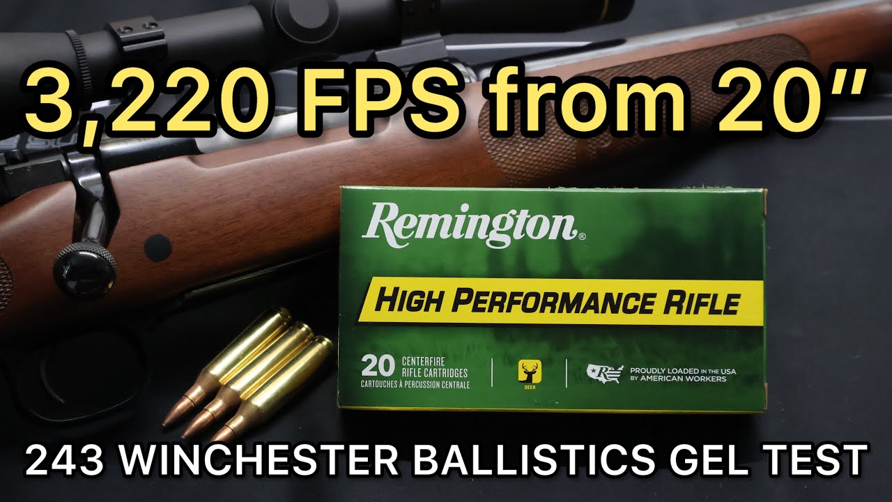243 Winchester 80gr PSP High Performance Rifle Ballistics Gel Ammo Test ...