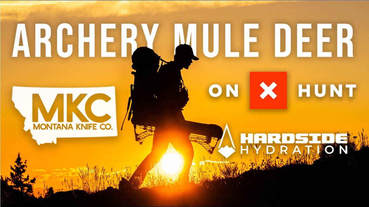 Hunting High Country Archery Mule Deer - A Hunt of Highs and Lows - YouTube
