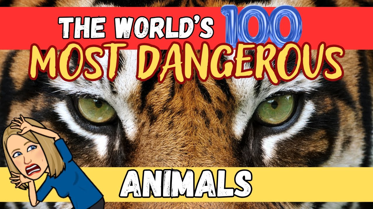 🦁 🦈 The World’s 100 MOST DANGEROUS Animals (Part 1) 🐯🐻 #animals, # ...