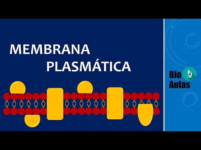 Fosfolipidios Na Membrana Celular