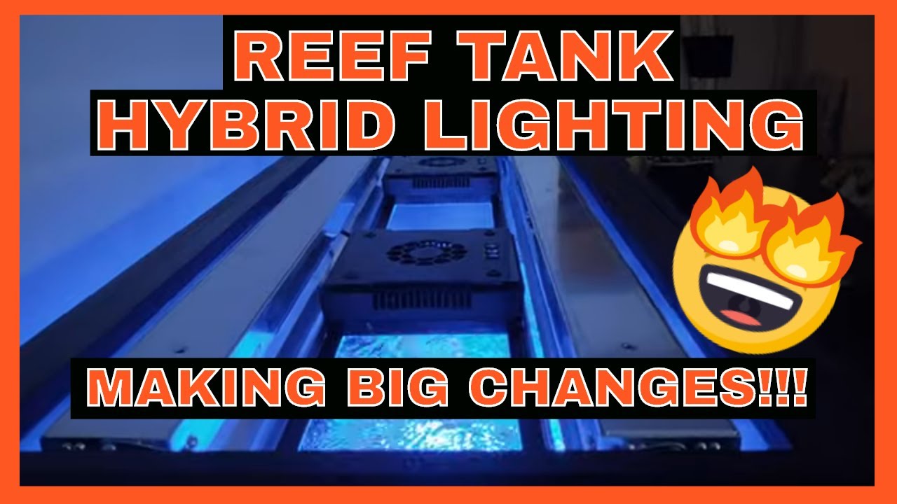 75 Gallon Reef Tank - DIY Hybrid Lighting - Aquarium Lights - YouTube