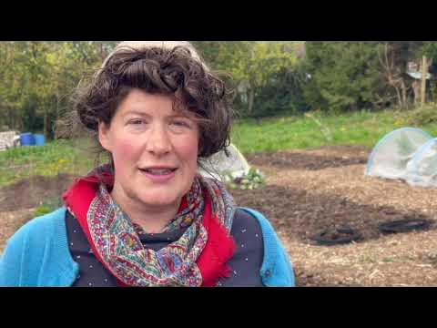 Sustainable Kirriemuir and Angus Rural Partnership - YouTube