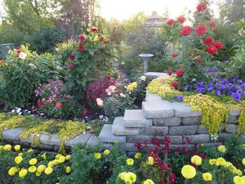 Braeside Presbyterian Church July 16, 2023 - YouTube