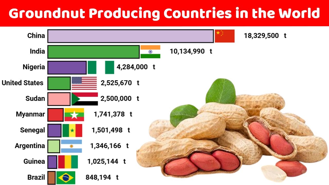 Top 10 Groundnut Producing Countries in the World - YouTube