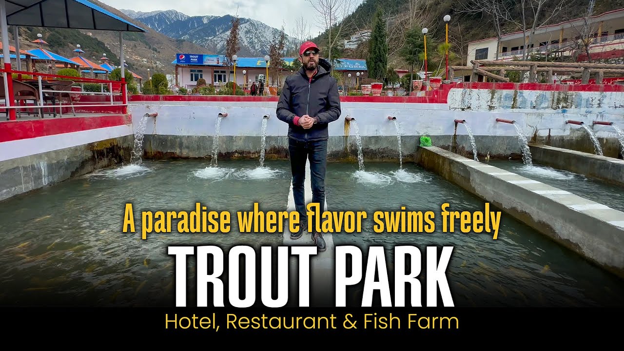 Trout Fish Farm in Swat Valley | Best Picnic Spot & Hotel Review - YouTube