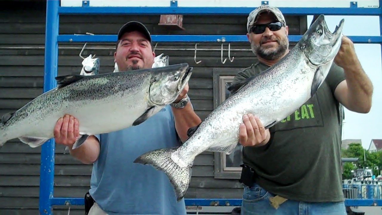 Big time salmon fishing - Sheboygan WI July 12, 2016 - YouTube