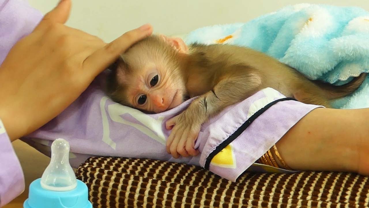 Pity!! Newborn Shusy Hug Mom Hand With Fluttering Cr.y Need Mom Comfort ...