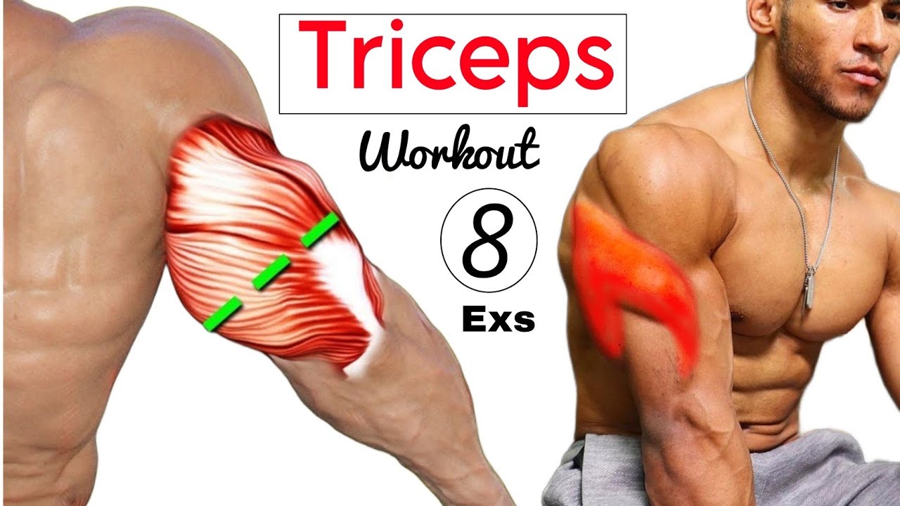 8 Best Exercises To Build Boulder ARMS - Triceps Workout - YouTube